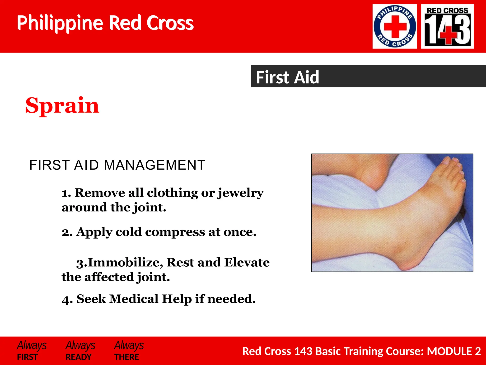 Philippine_Red_Cross_First_Aid_and_BLS_Module_2.pptx
