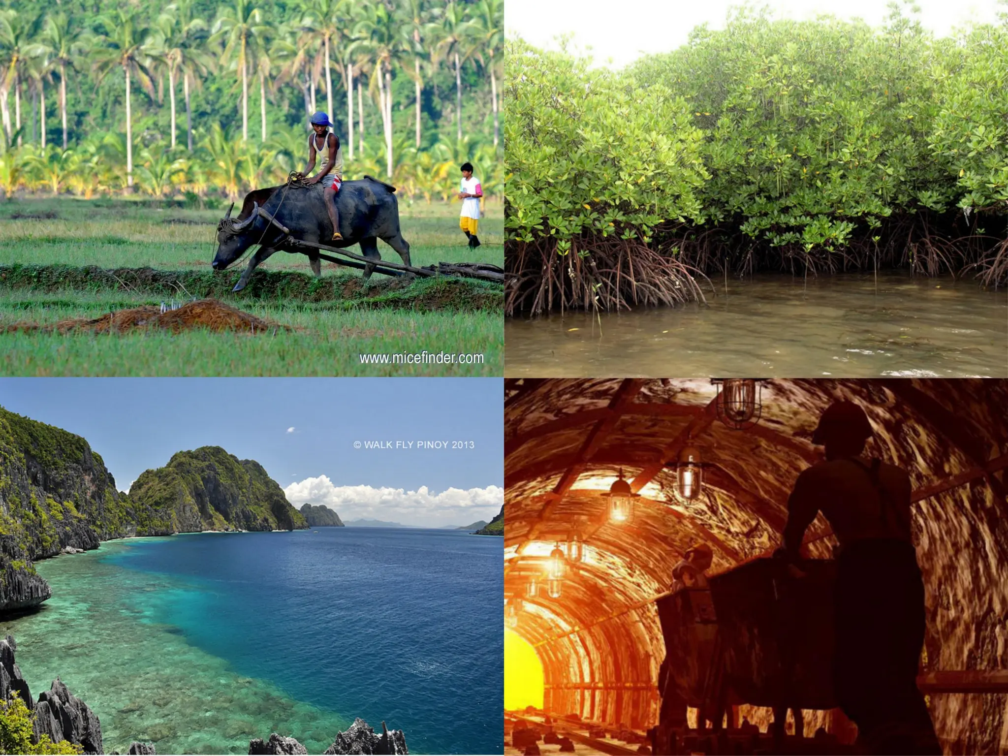 philippine aquatic and physical resources of the philippines | PPTX
