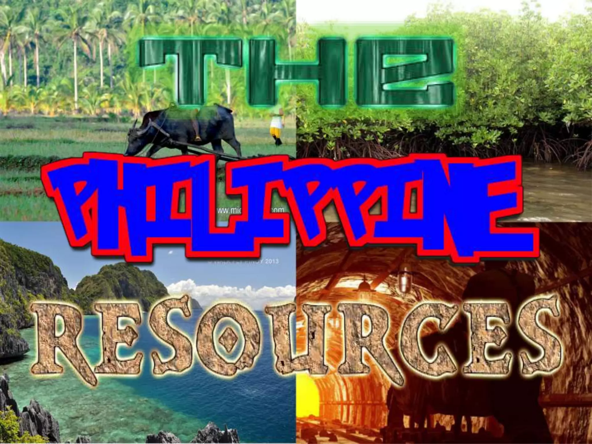 Philippine Resources | PPTX