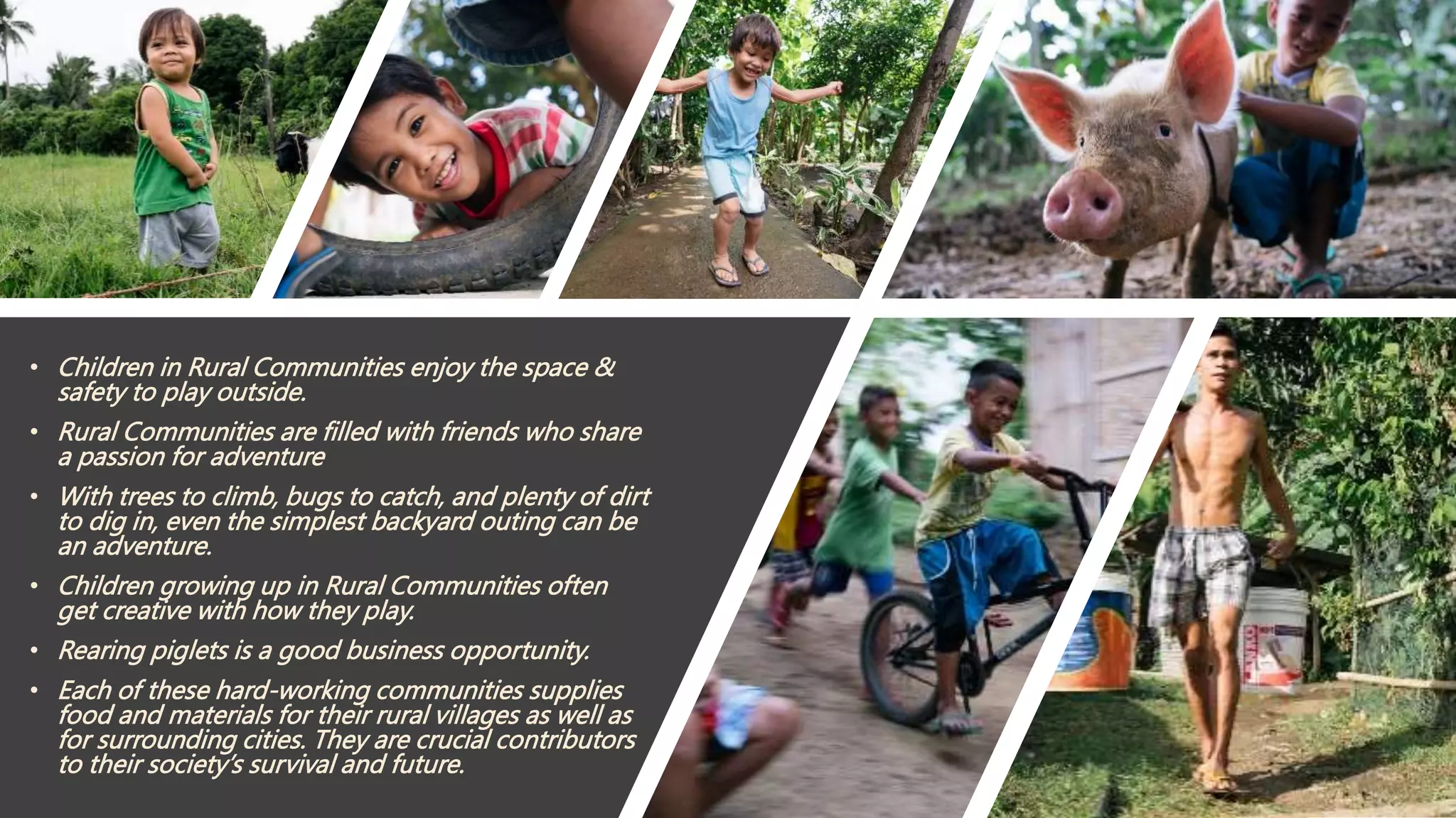 Philippine Rural Development Problems Issues and Directions.pptx