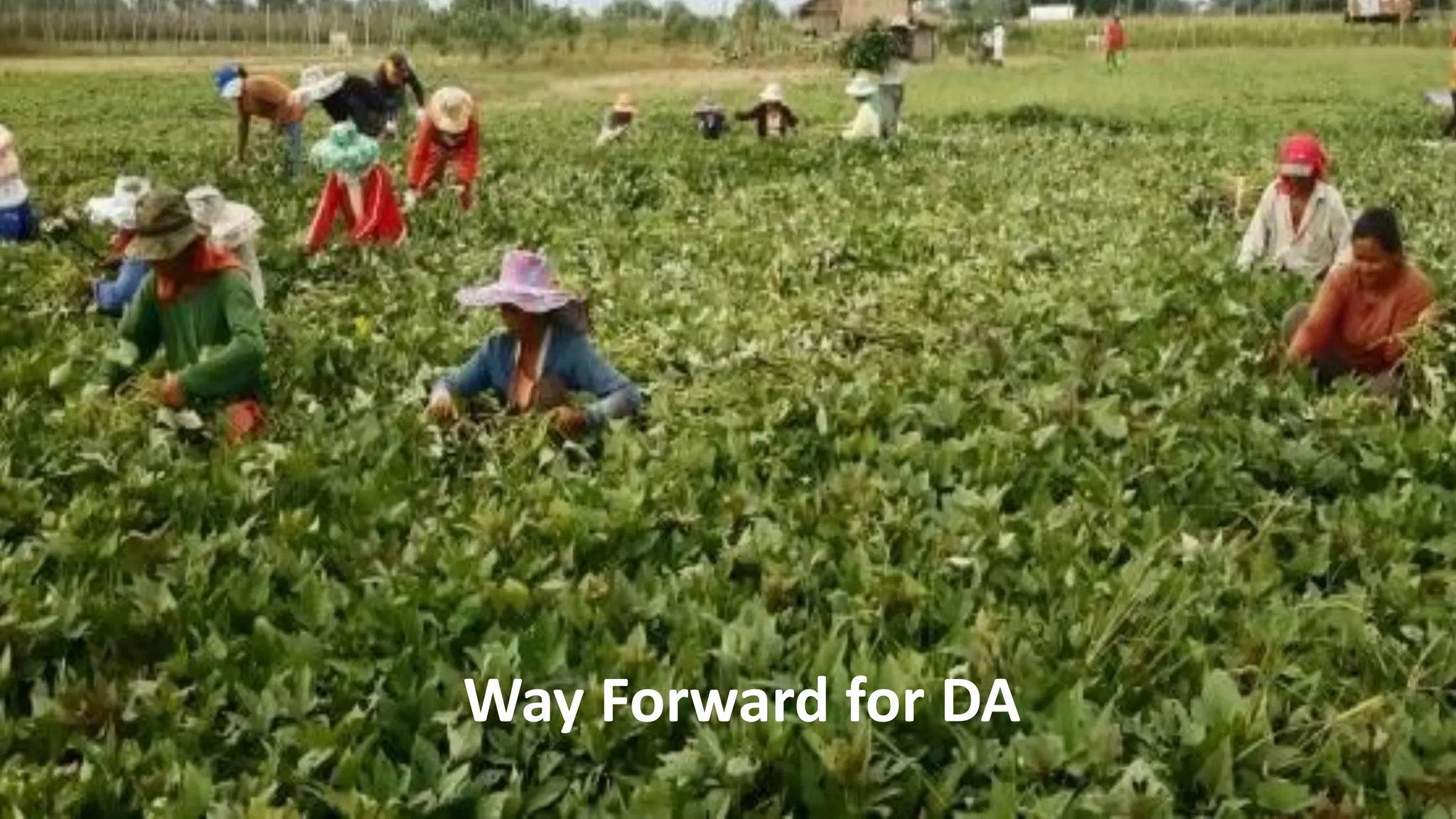 Philippines-Economic-Update-December-2022-ppt.pdf