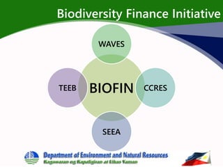 philippines-ecosystemaccounting.pptx