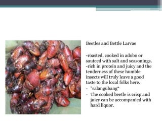 Philippines’ exotic dishes | PPTX