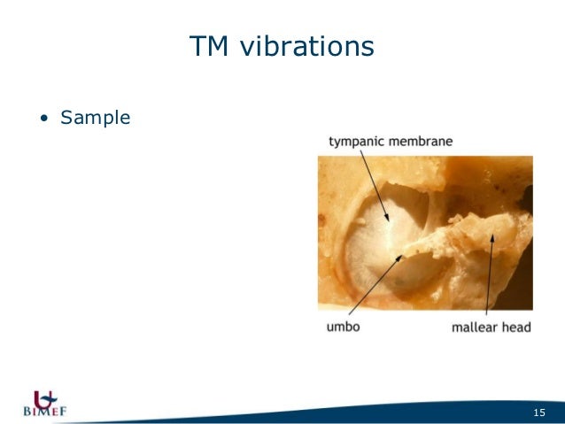 Optomechanical measurement and FE modeling of tympanic membrane mecha…