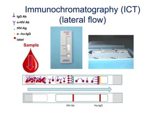 Rapid HIV Testing: Policy & Regulatory Issues | PPT