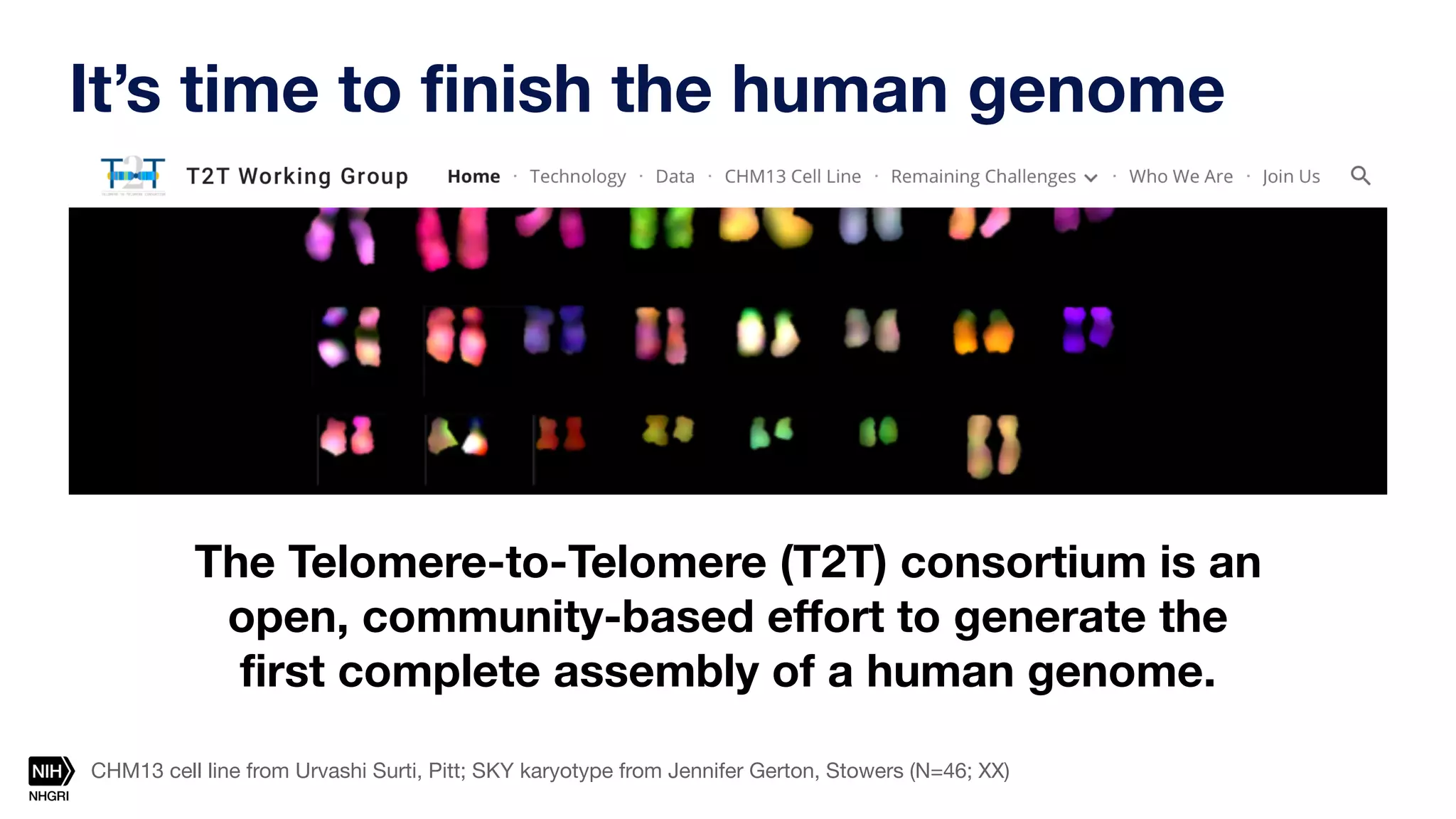 Telomere-to-telomere assembly of a complete human X chromosome | PDF