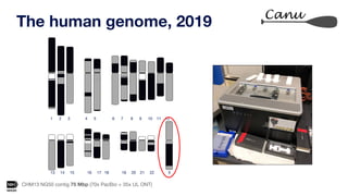 Telomere-to-telomere assembly of a complete human X chromosome | PDF