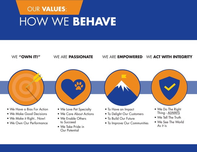 Phillips Vision and Values | PDF