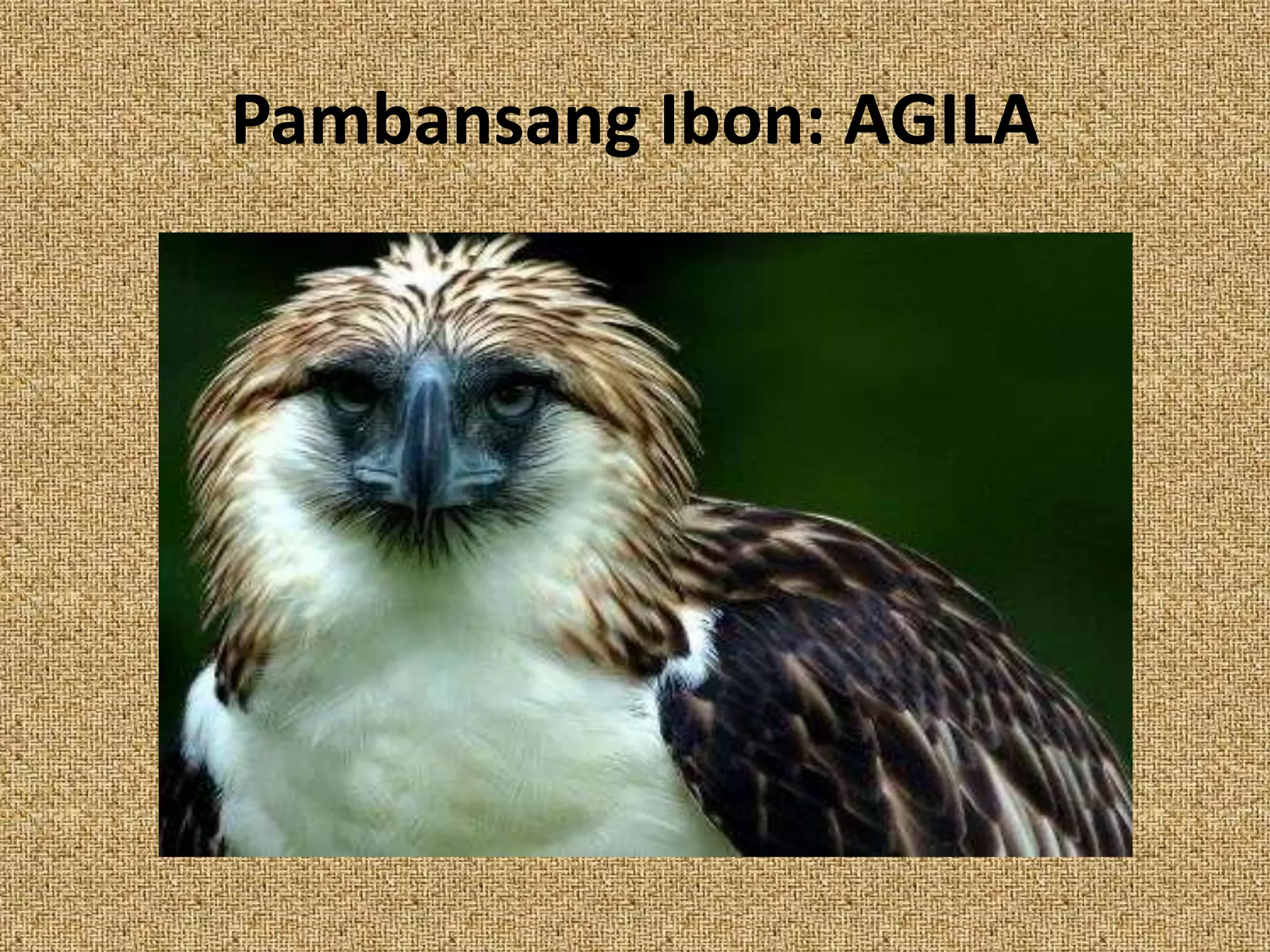 PHILIPPINE NATIONAL SYMBOLS | PPTX