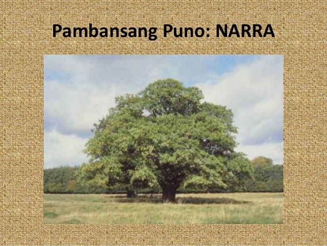 PHILIPPINE NATIONAL SYMBOLS