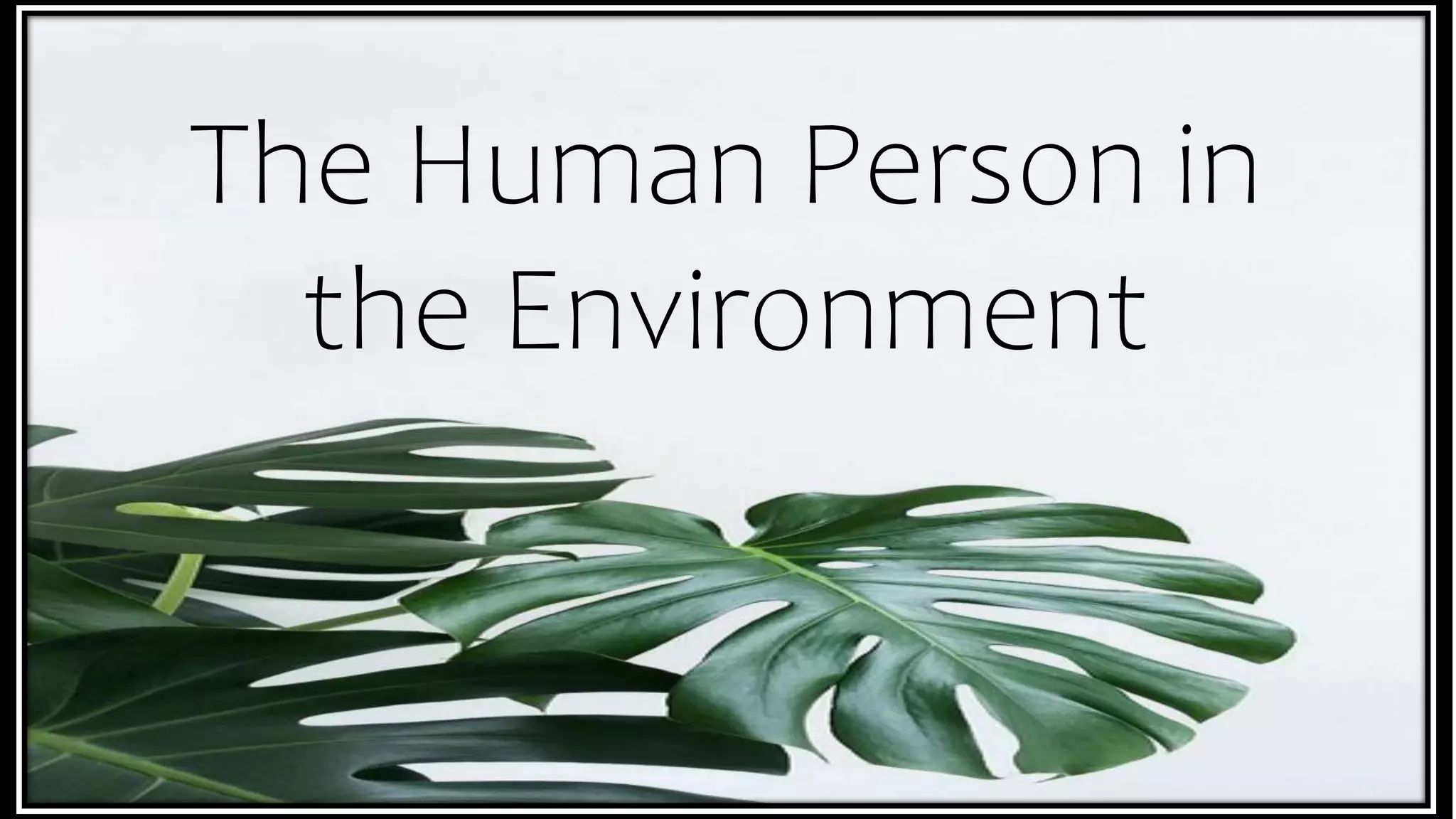 Human Person and the Environment | PPTX