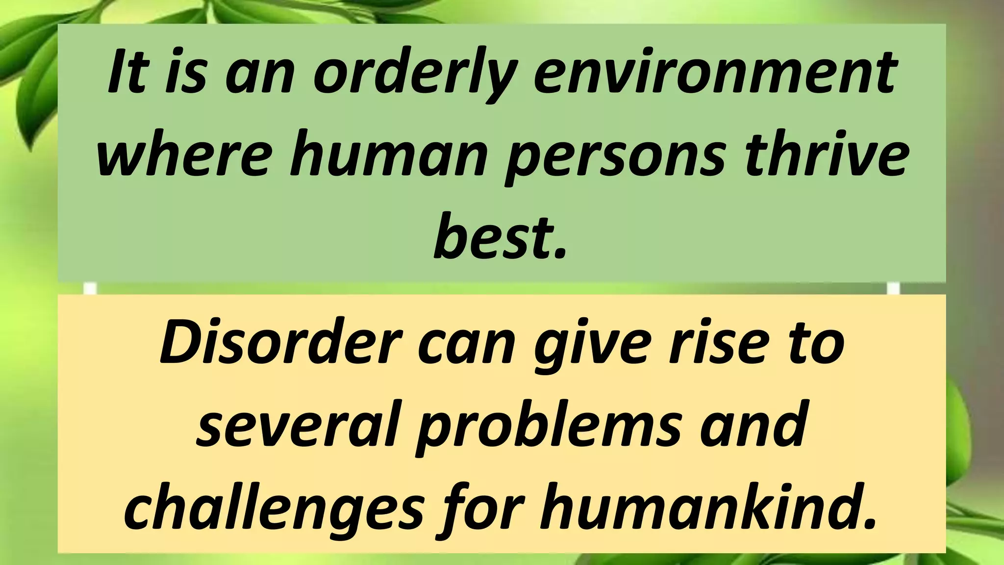 Human Person and the Environment | PPTX