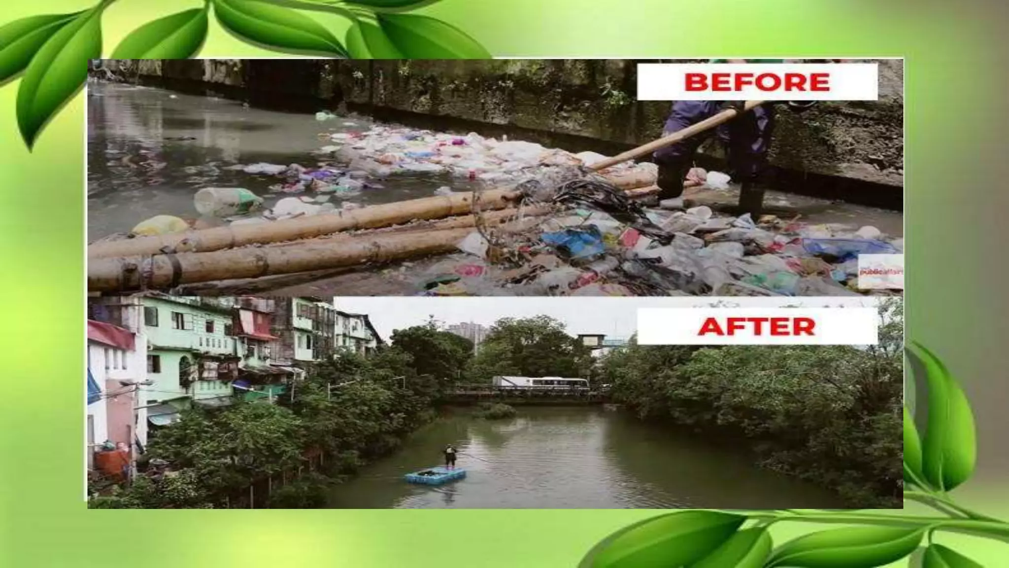 Human Person and the Environment | PPTX