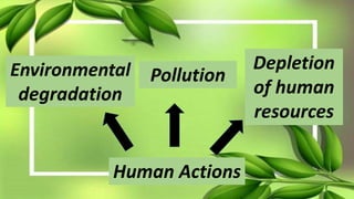 Human Person and the Environment | PPTX