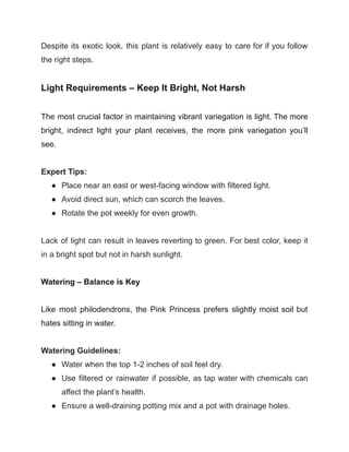 Ultimate Care Guide for Philodendron Pink Princess | PDF