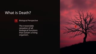 Philosophy Lesson 40 : Death and Meaning | PPTX