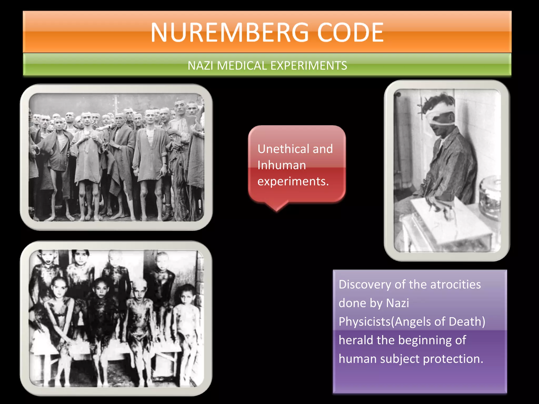 Philomen powerpoint presentation | PPT