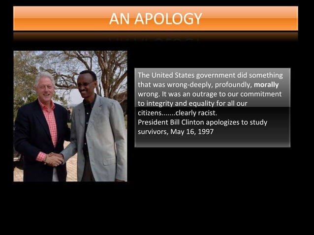 Philomen powerpoint presentation | PPT