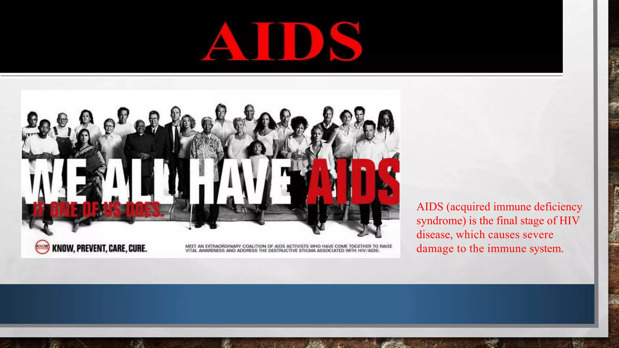 Philo presentation.pptx