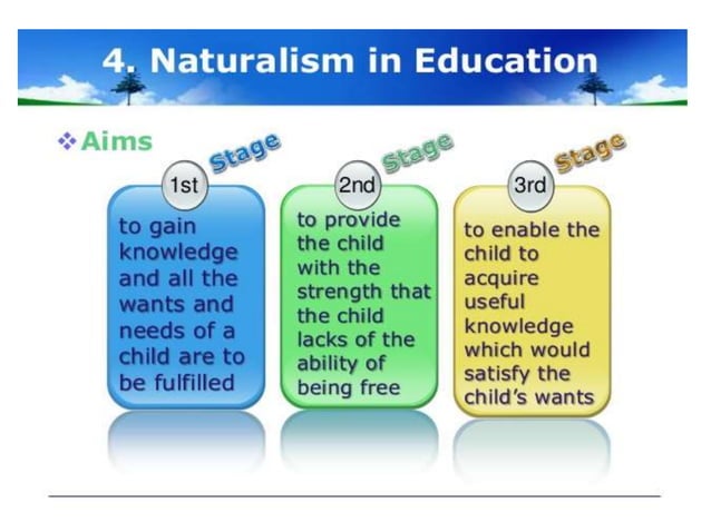 PHILOSOPHY OF NATURALISM & EDUCATION | PPTX | Primary Education | Education