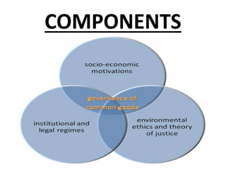 PHILOSOPHY OF NURSING | PPTX