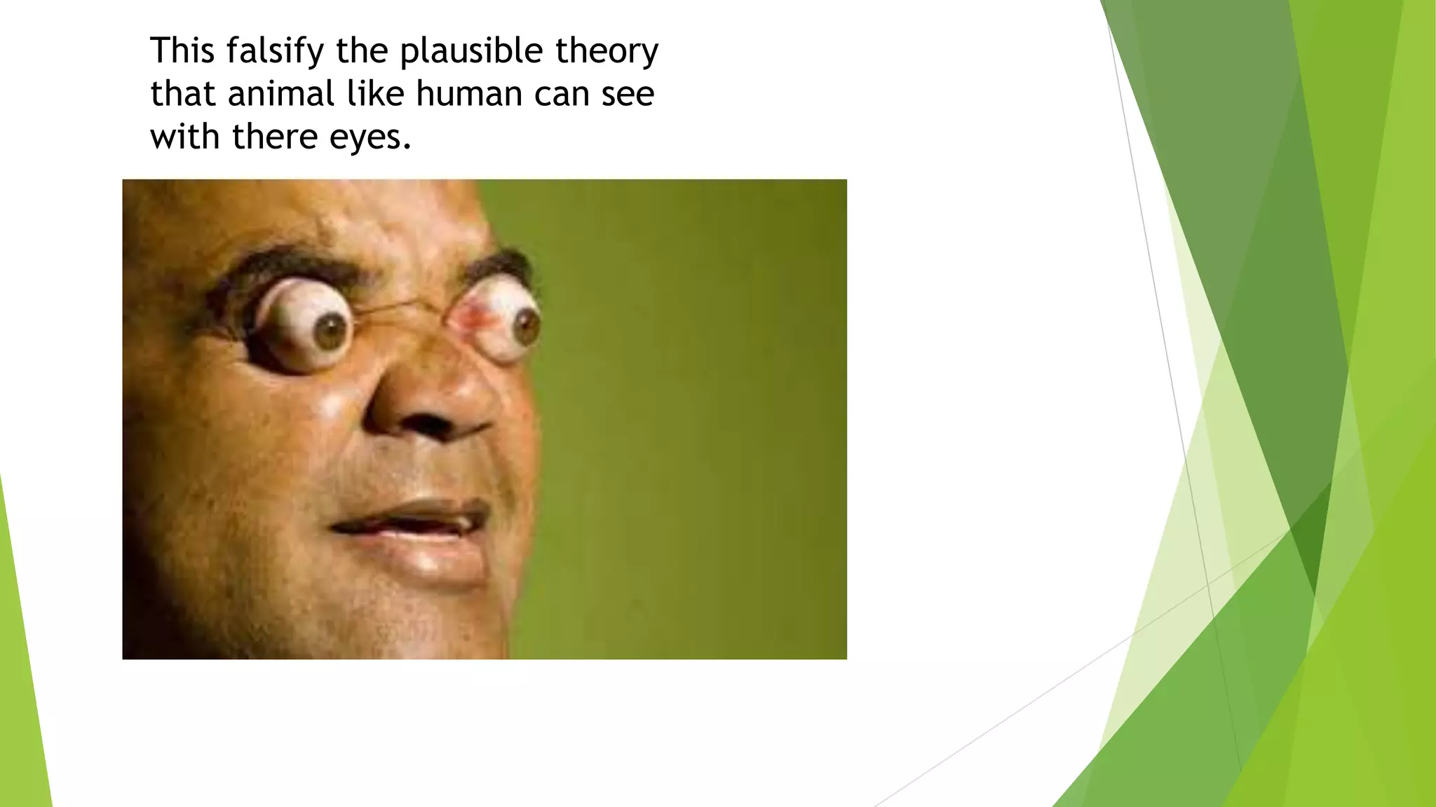 philosophy of science, Falsification theory, Karl popper | PPTX