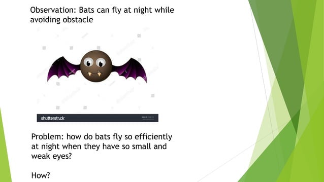 philosophy of science, Falsification theory, Karl popper | PPTX