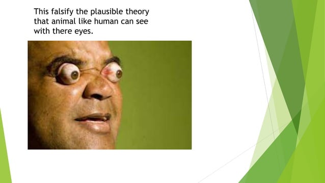 philosophy of science, Falsification theory, Karl popper | PPTX