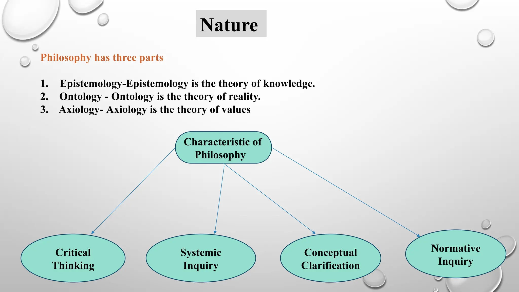 Philosophy presentation. siddhimeena.pptx