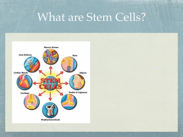 Philosophy Project | KEY