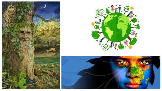 Human Person in the Environment | PPT