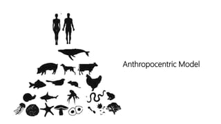 Human Person in the Environment | PPTX