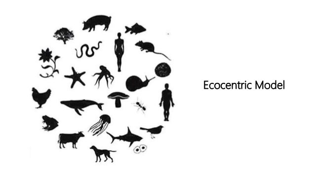 Human Person in the Environment