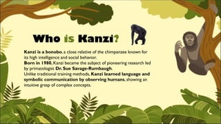 Exploring Kanzi the Bonobo: Insights into Animal Intelligence ...