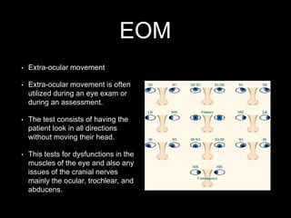 Phil traini chapter 13 j presentation | PPT | Eye and Vision Conditions ...