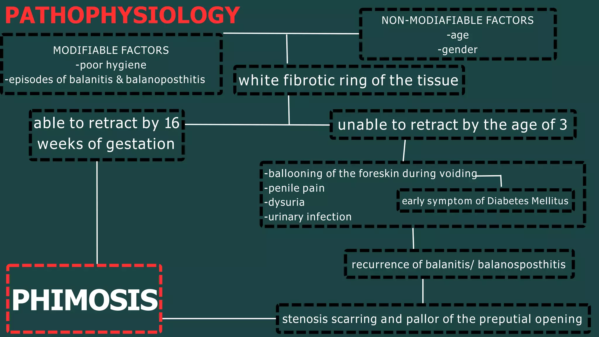 PHIMOSIS PARAPHIMOSIS | PPTX