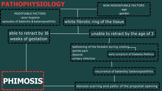 PHIMOSIS PARAPHIMOSIS | PPTX | Reproductive Health | Diseases and ...