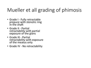 phimosis final.pptx