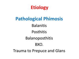 Phimosis, inguinal hernia & undescended testis.pptx