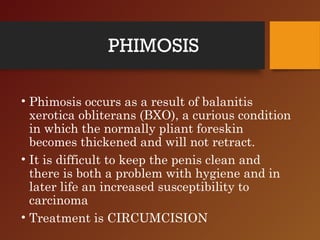 Phimosis & Paraphimosis | PPT