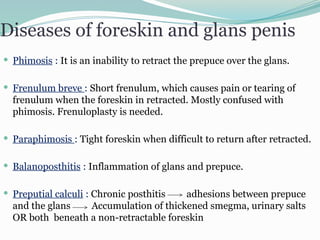 Phimosis & Paraphimosis - An Ayurvedic and Modern aspect.pptx