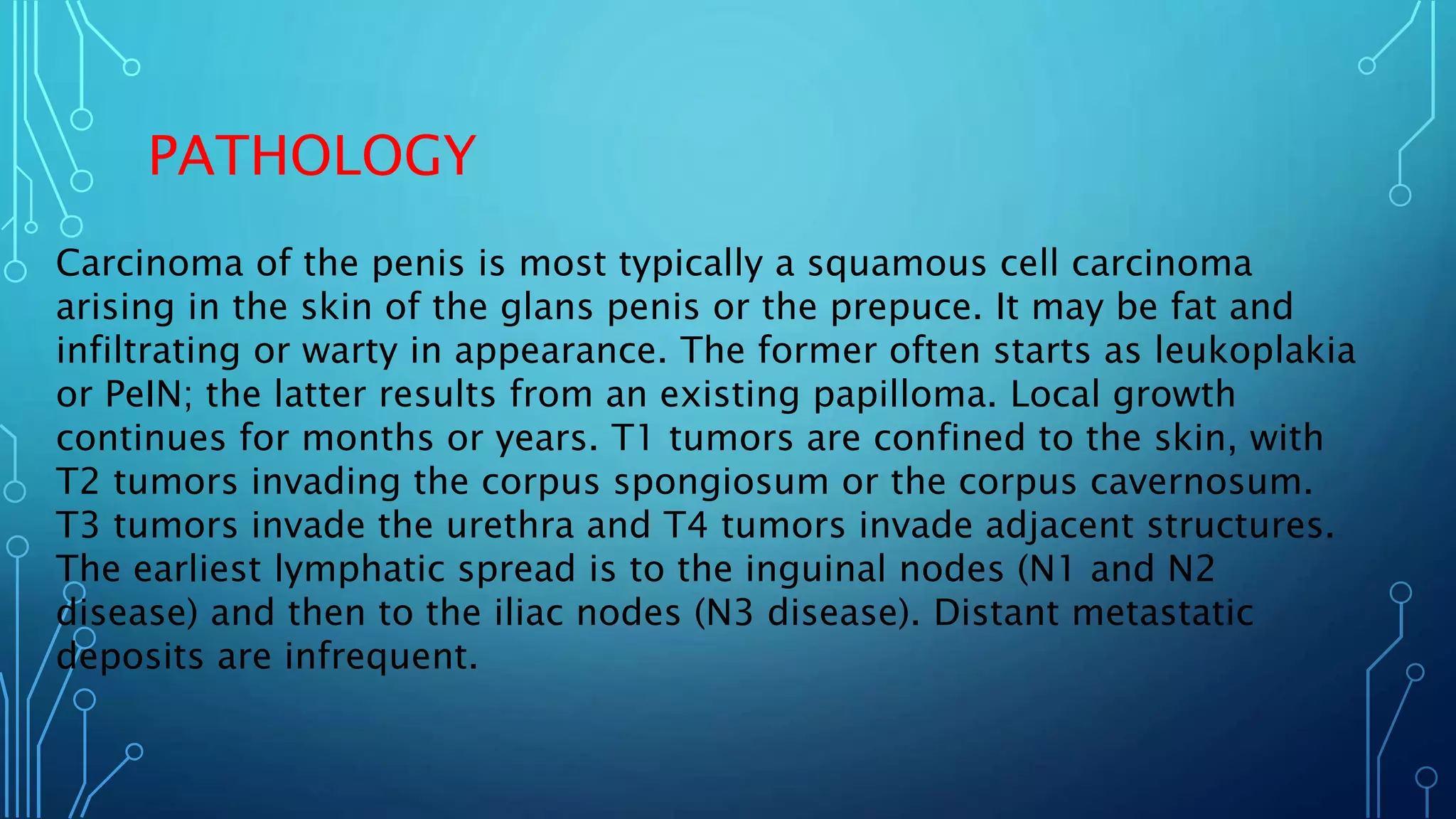 phimosis, paraphimosis & ca penis (CBME).pptx