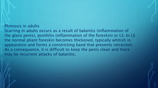 phimosis, paraphimosis & ca penis (CBME).pptx
