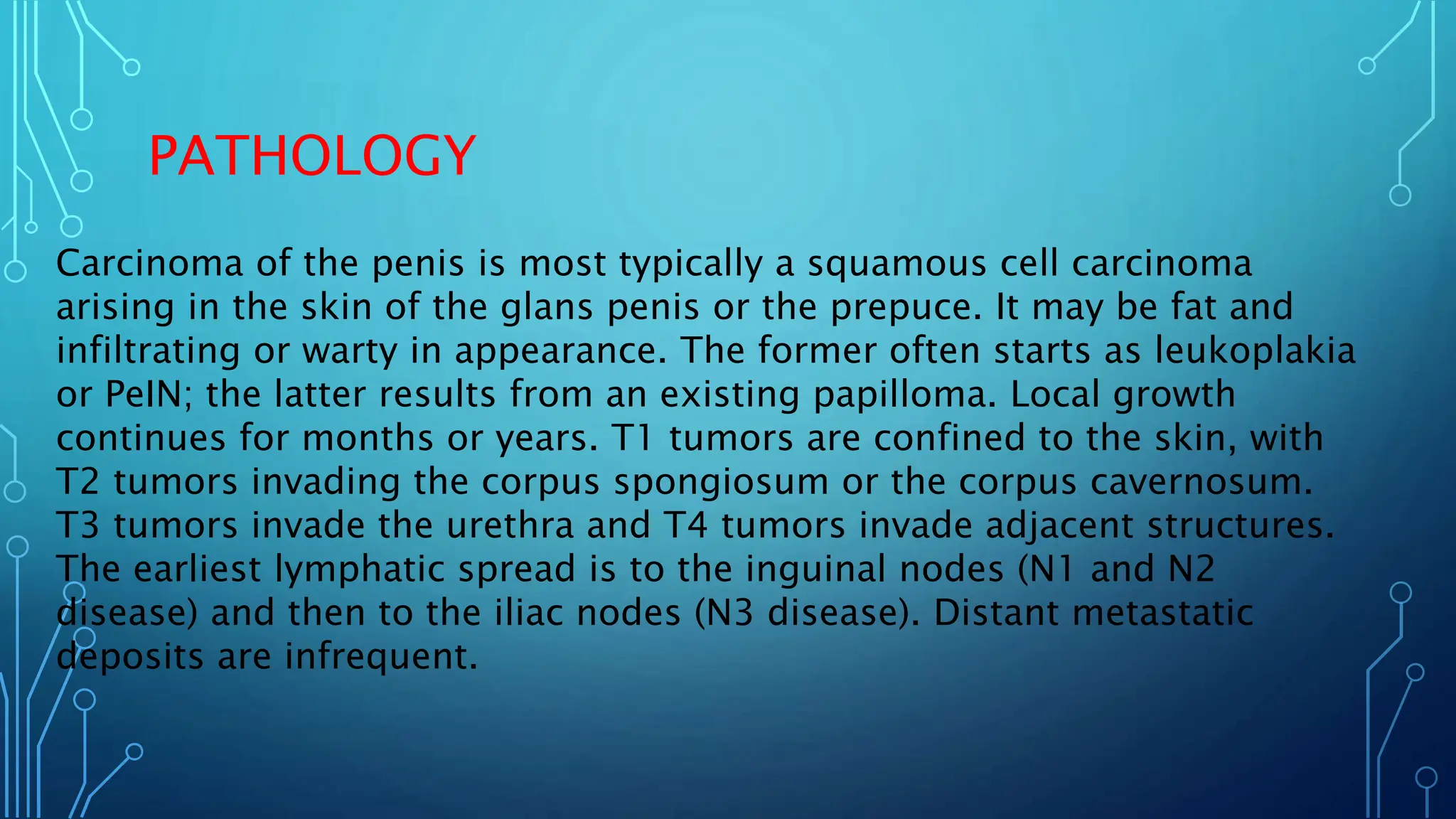 phimosis, paraphimosis & carcinoma of the penis (CBME).pptx