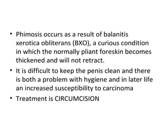 Phimosis, paraphimosis & circumcision | PPT
