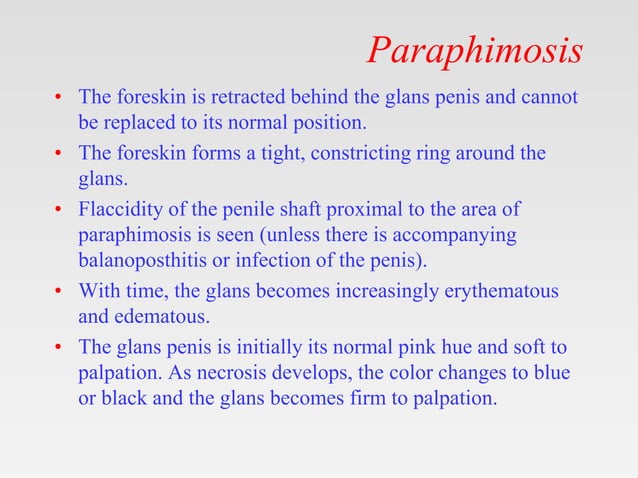 Phimosis ,paraphimosis ,circumcision.pptx
