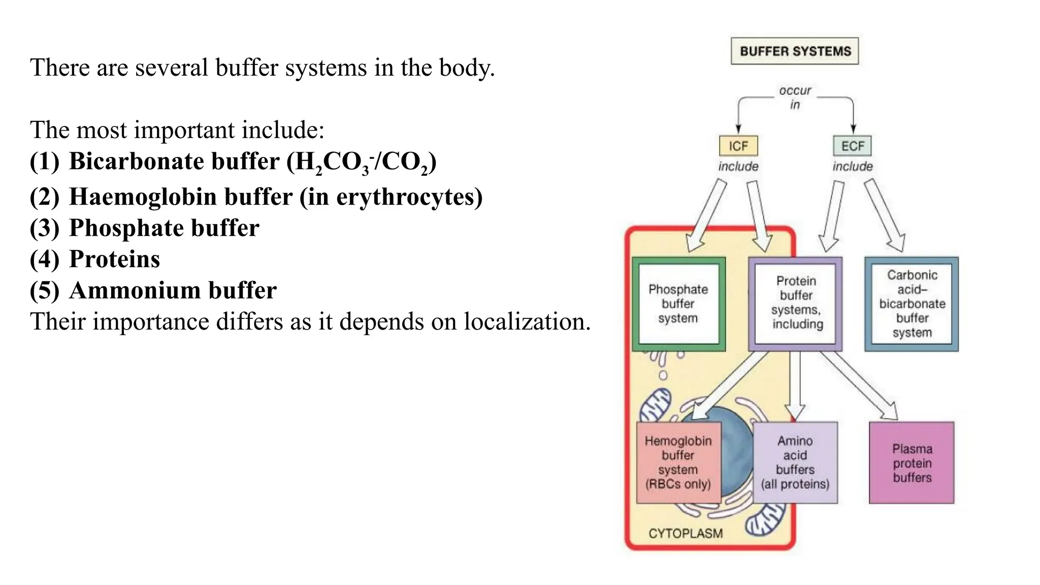 Acid base balance in human body and buffer system | PPTX