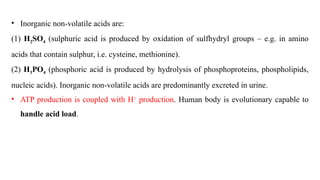 Acid base balance in human body and buffer system | PPTX