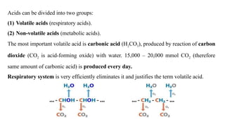 Acid base balance in human body and buffer system | PPTX