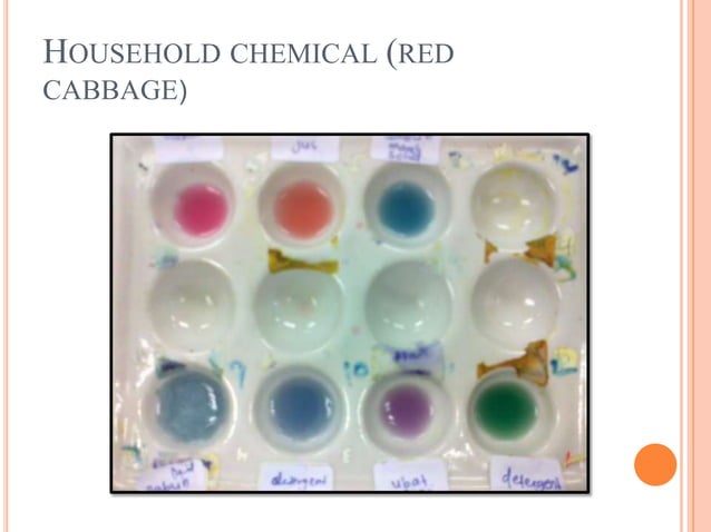 pH indicator experiment | PPTX | Chemistry | Science